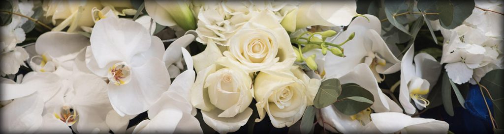 Aria Flowers – Floral displays for business, special occasions, and ...
